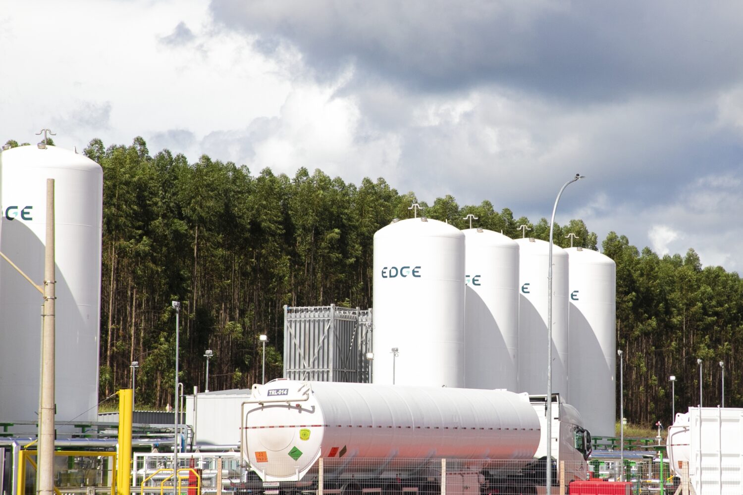 LD Celulose supre demanda energética com energia mais limpa e redução ...